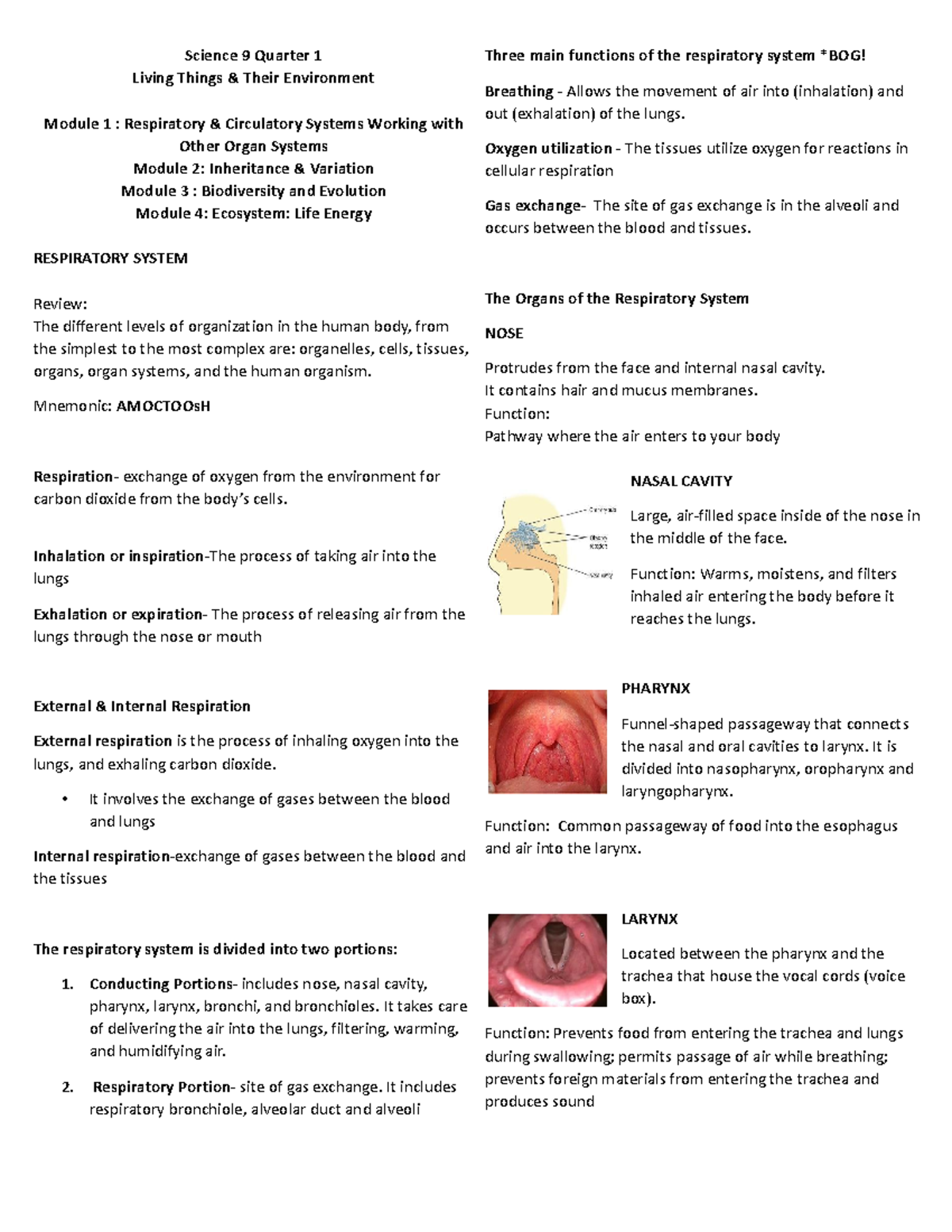 Sci9 - Respiratory System Q1W1 Handouts: Overview & Review - Studocu