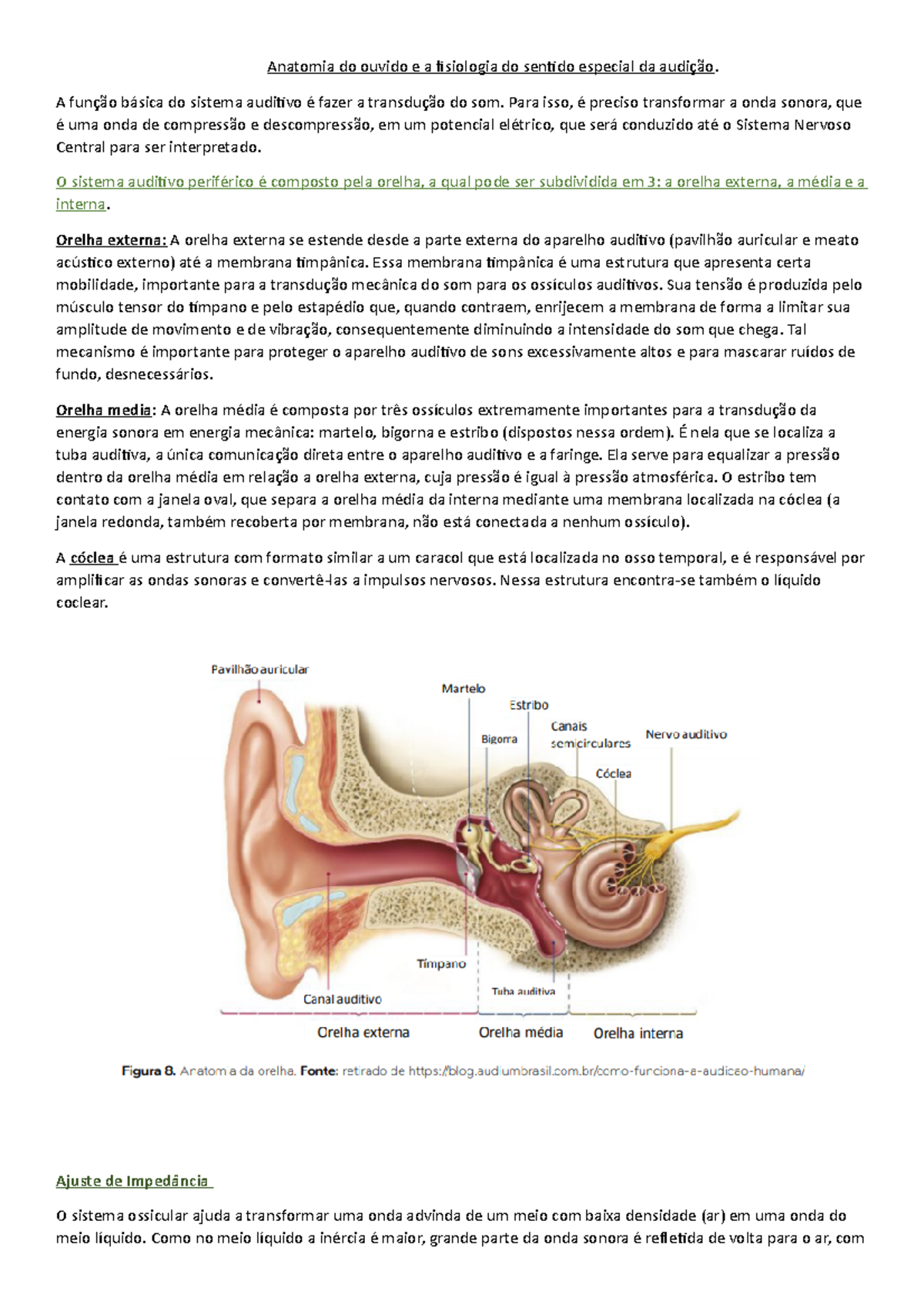 Anatomia do ouvido e audição - Anatomia do ouvido e a fisiologia do ...