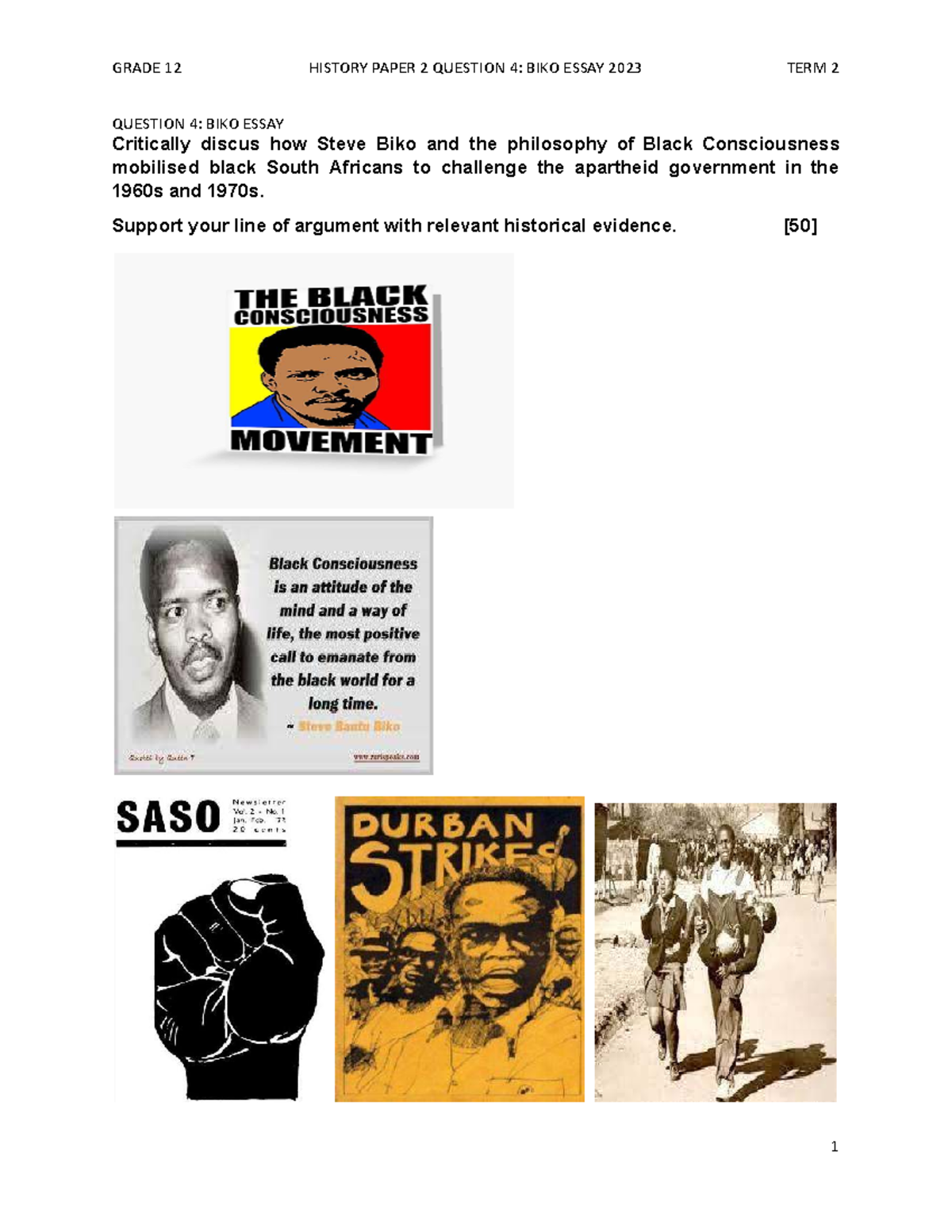GRADE 12 HISTORY PAPER 2 TERM 2: BIKO ESSAY ON BLACK CONSCIOUSNESS ...