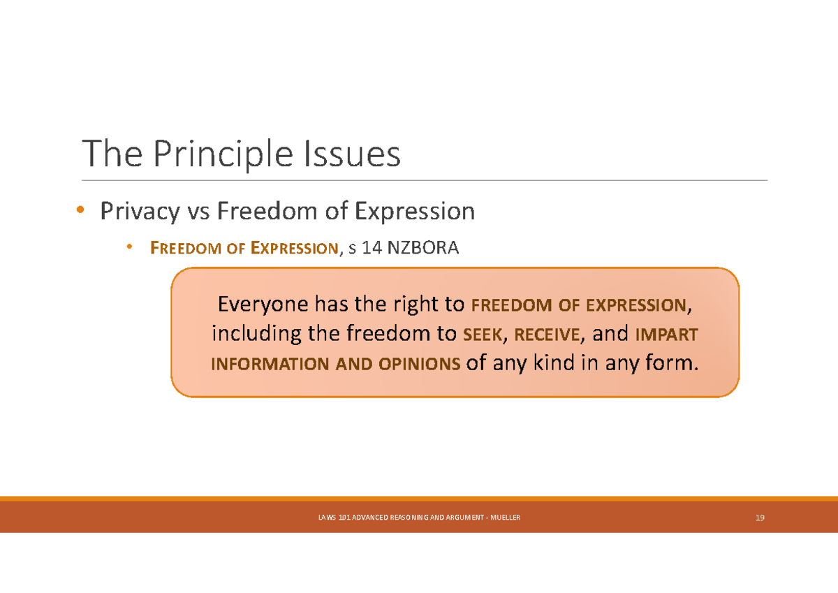 LAWS 101 - Privacy vs Freedom of Expression: Key Issues and Case Law ...