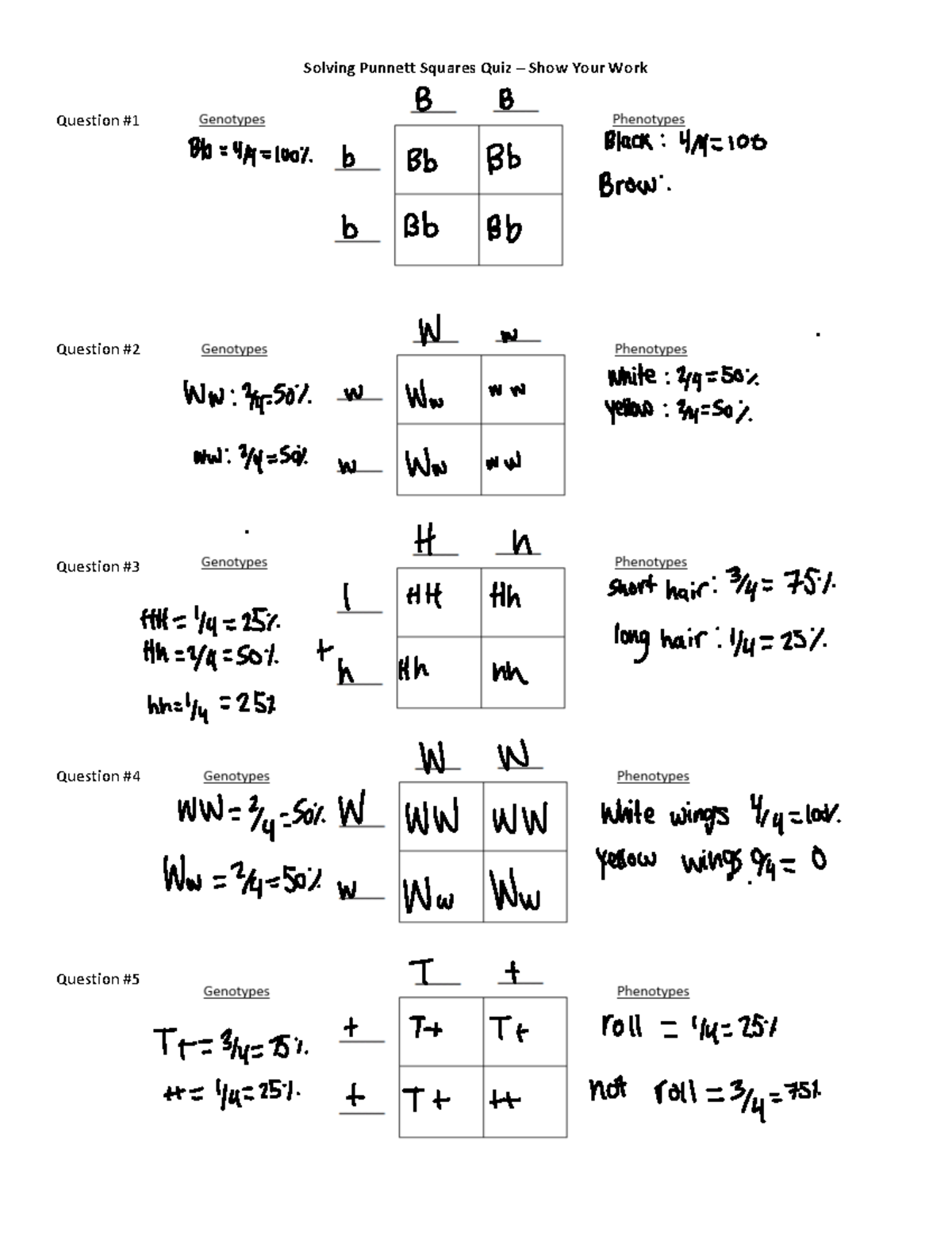 Solving+Punnett+Squares+Quiz+show+work - Solving Punnett Squares Quiz ...