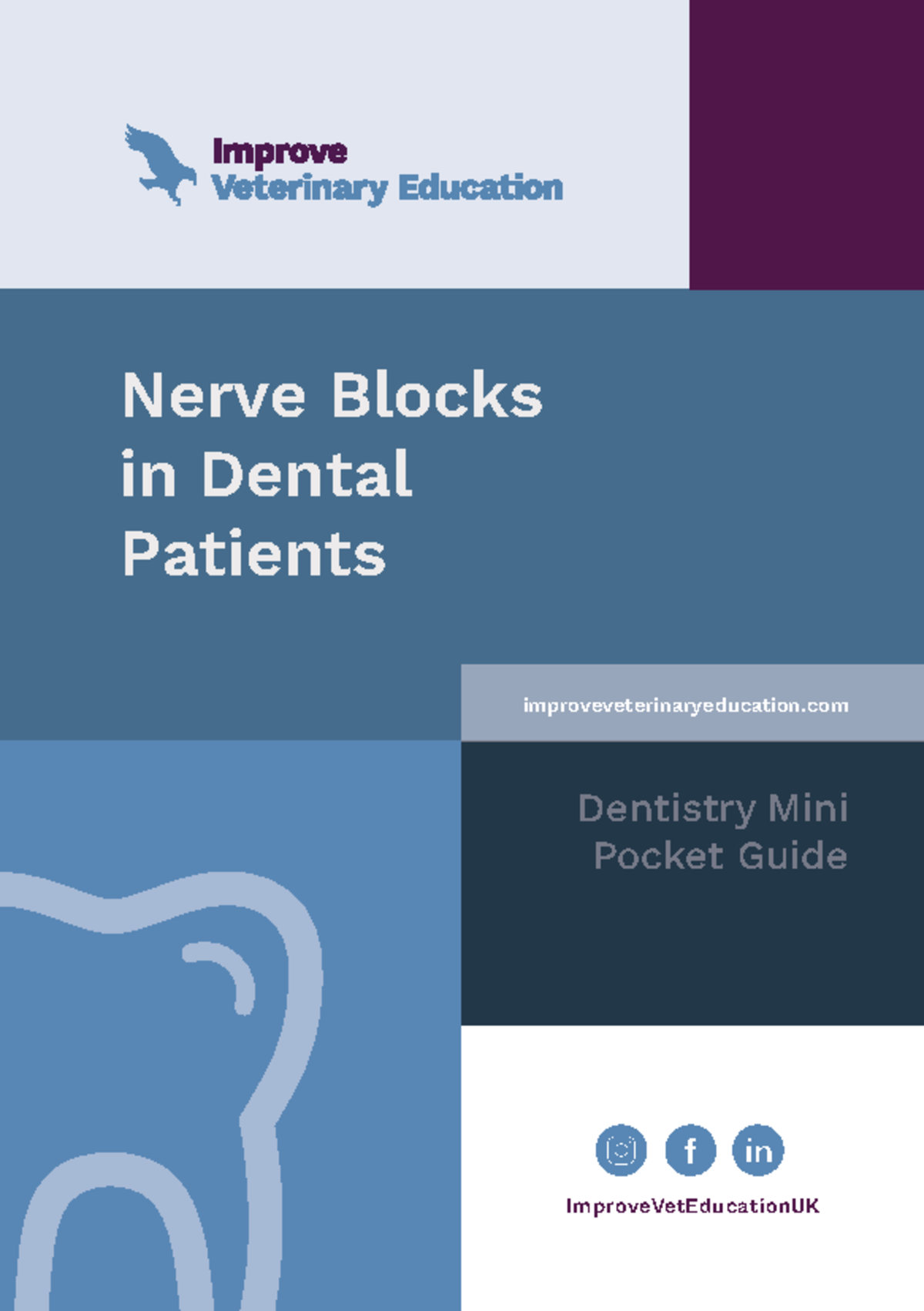 Nerve Blocks in Dental Patients: A Mini Pocket Guide (Dentistry) - Studocu