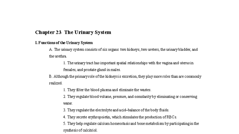 Chapter 23 Outline: The Urinary System and Its Functions - Studocu