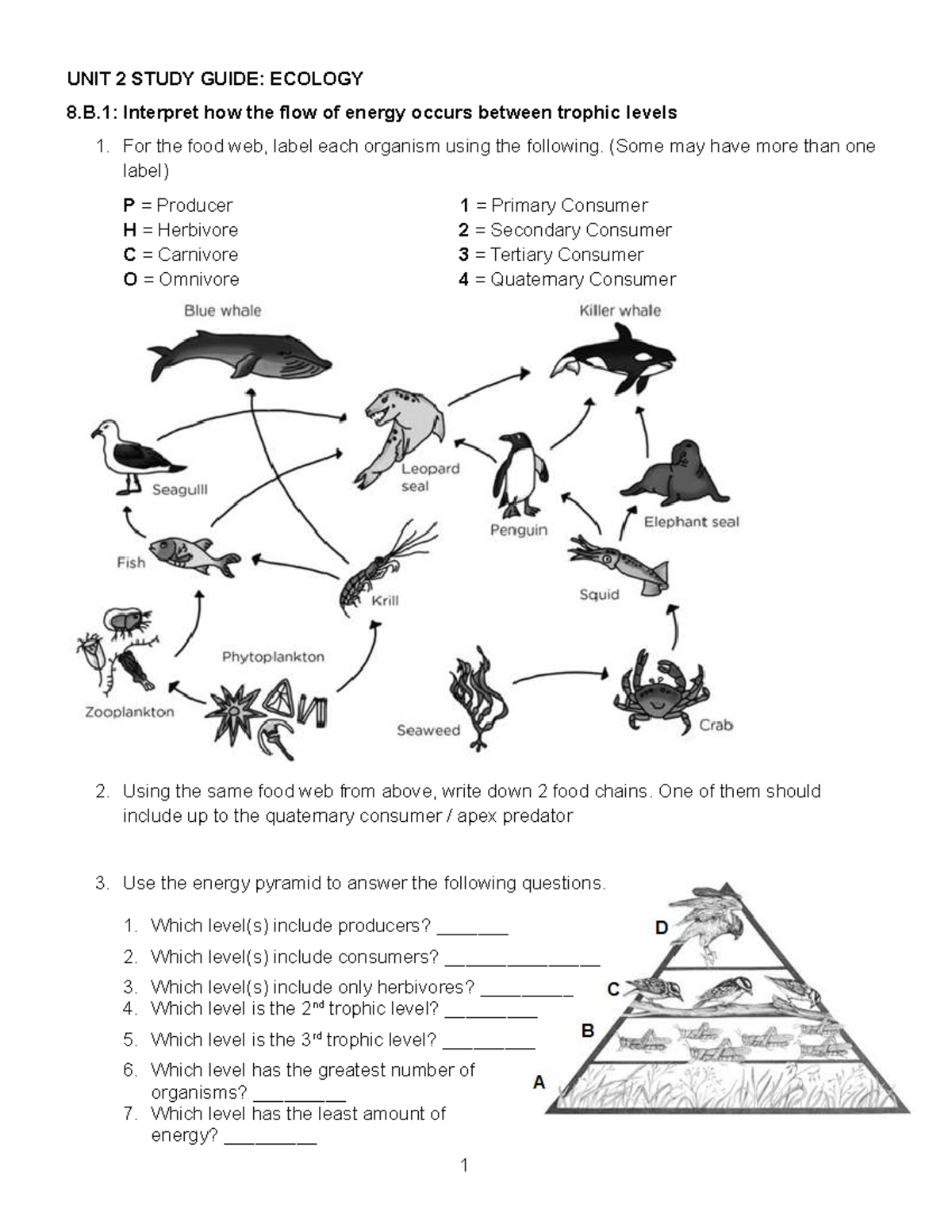 Unit 2 Study Guide Ecology 8 B 1 Energy Flow Populations Studocu
