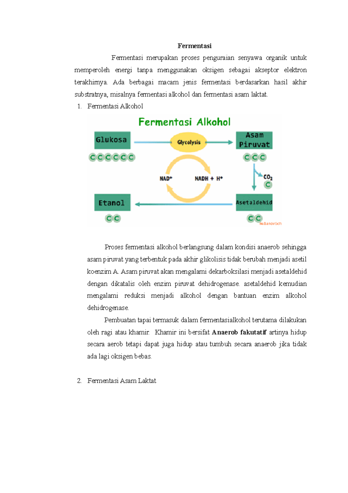 Proses Fermentasi: Jenis dan Mekanisme Fermentasi Alkohol & Asam Laktat ...