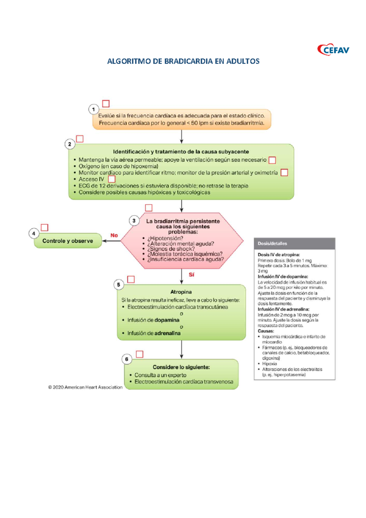 2020 Algoritmo Bradicardia - Proceso de Enfermería en atención de ...