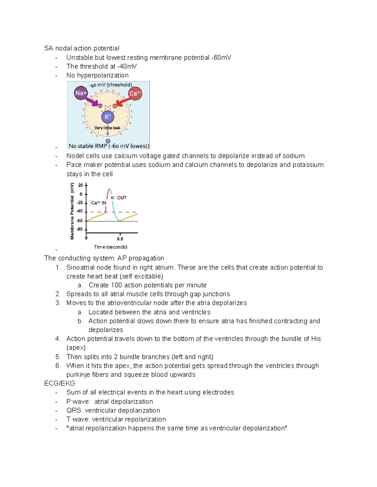 Cardiovascular physiology lecture 2 - SA nodal action potential - Unstable but lowest resting ...