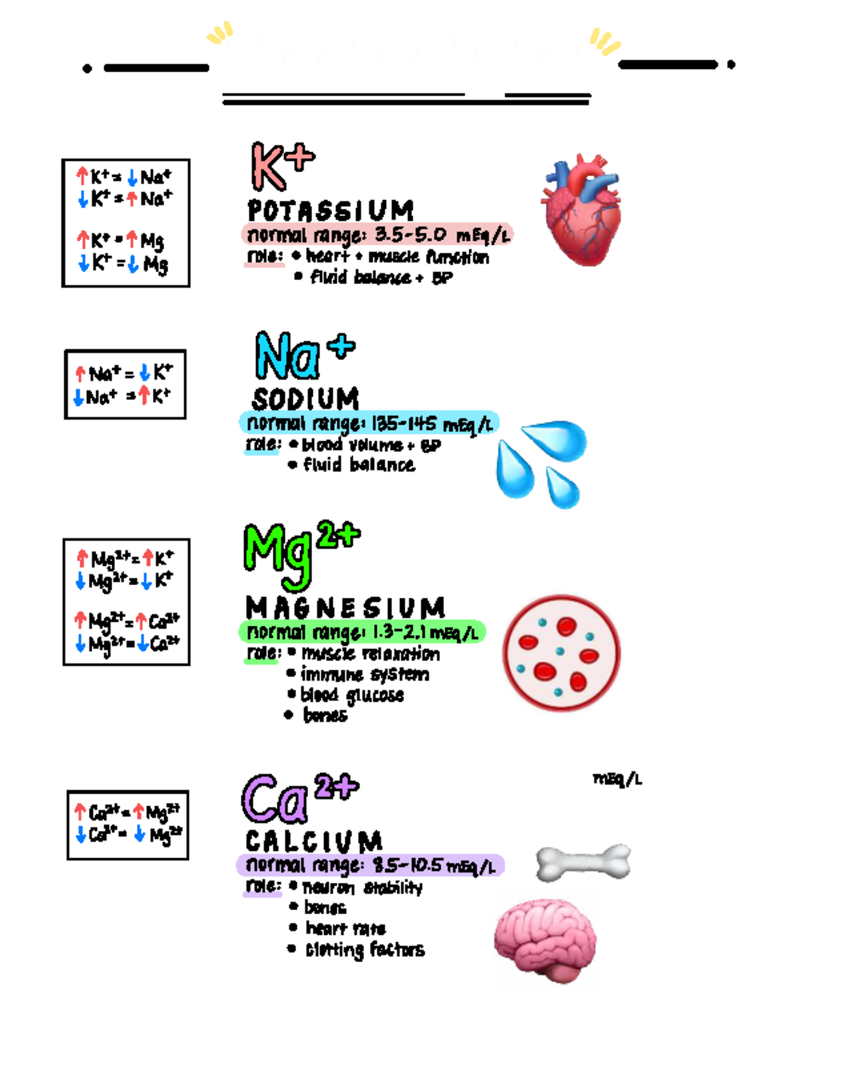Electrolytes - Notes on Normal Ranges and Functions - Studocu