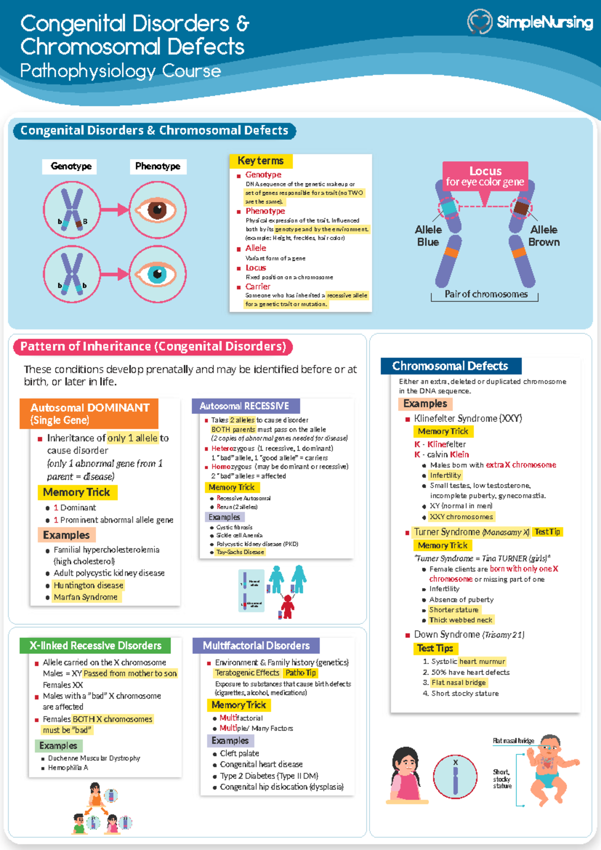 Genetic & Congenital Disorders: Chromosomal Defects Overview - Studocu