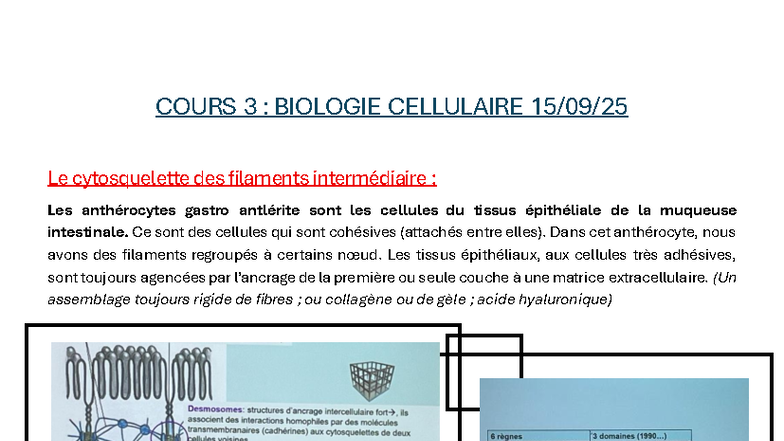 Cours 3 : Biologie Cellulaire - Le Cytosquelette et ses Fonctions - Studocu