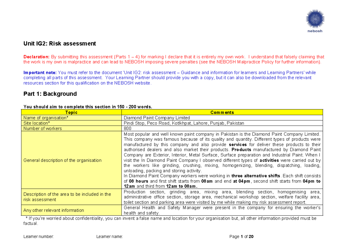 IG2: Risk Assessment Report for Diamond Paint Company - Studocu