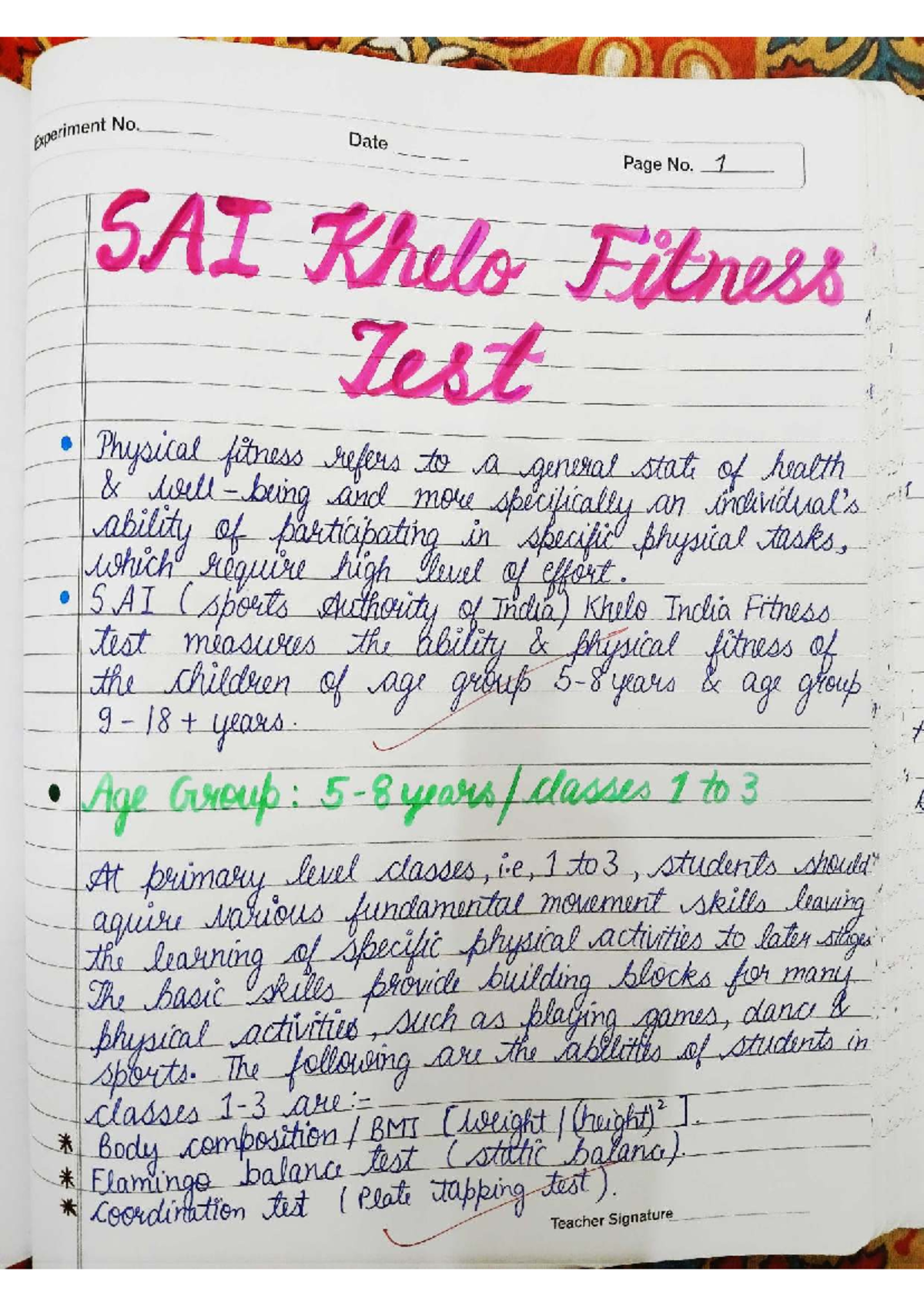 SAI Khelo India Fitness Test: Physical Project File (Class 12) - Studocu
