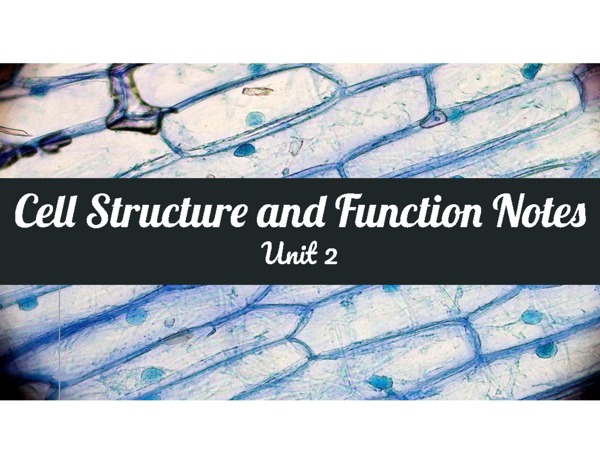 AP Biology: Water Potential and Osmosis Concepts in Cell Biology - Studocu
