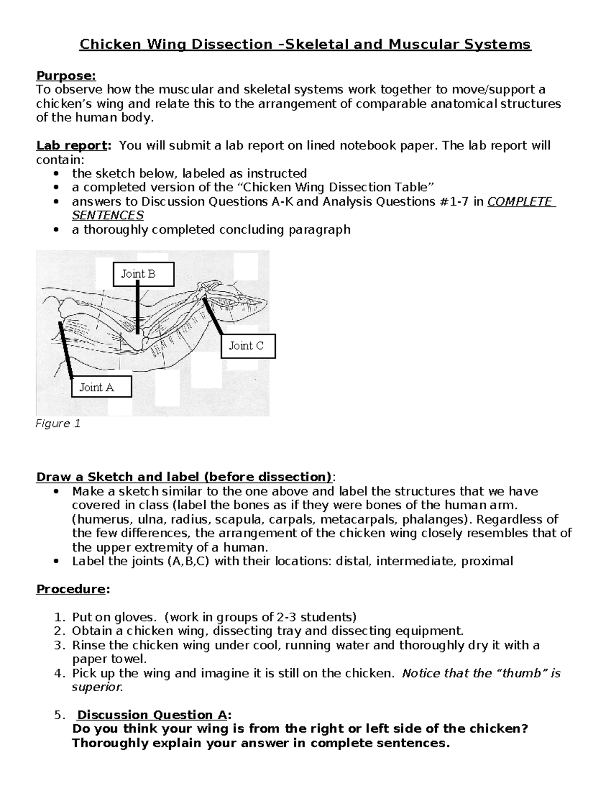 Chicken wing Lab procedure for 2014 - Chicken Wing Dissection –Skeletal ...