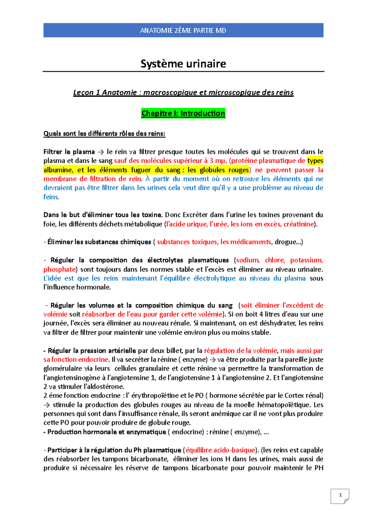 ANATOMIE 2ÈME PARTIE MD - Système Urinaire : Mécanismes et Anatomie des ...