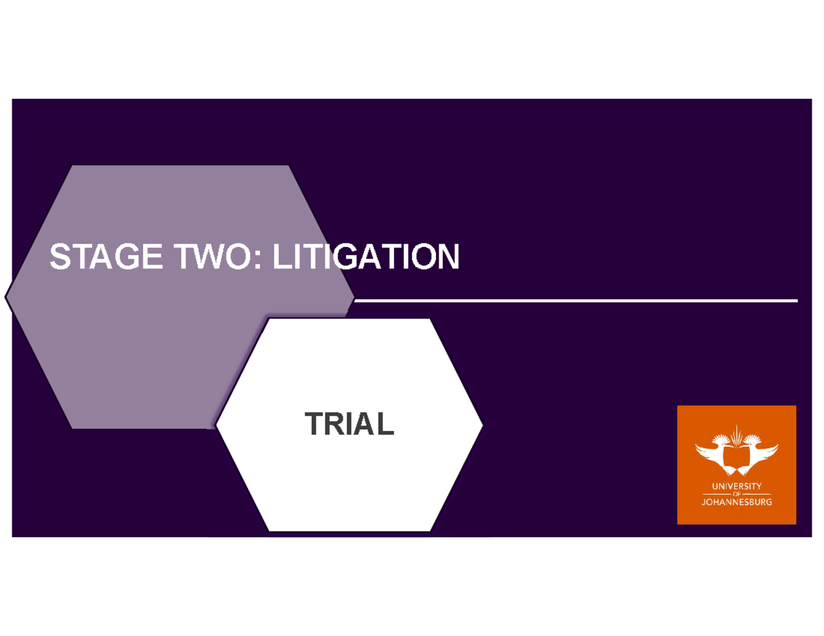 Civ Pro 2025 ILS41Y0: Stages of Litigation & Post-Trial Procedures ...