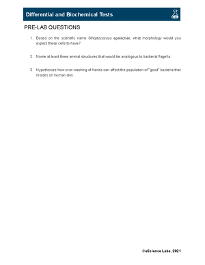 Biology 101: Chapter 5 - The Working Cell and Energy Processes - The ...