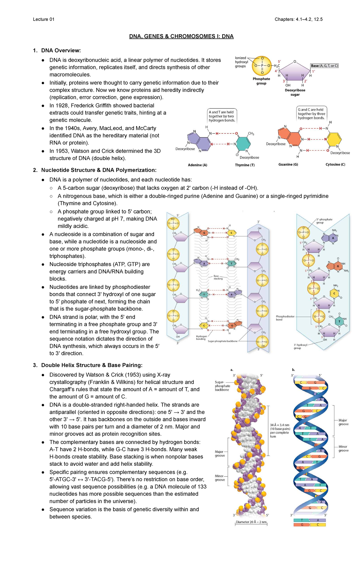 BIOA01H3 Lecture 01-08: Gene Action & Inheritance Overview - Studocu