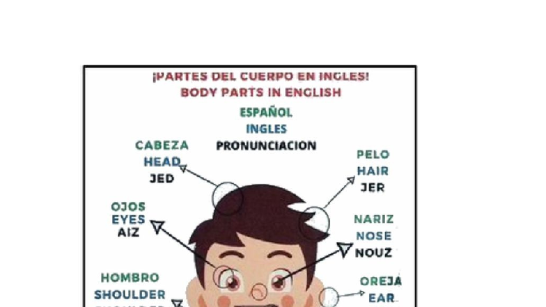 Partes de l cuerpo den ingles - Matematicas - iPARTES DEL CUERPO EN ...