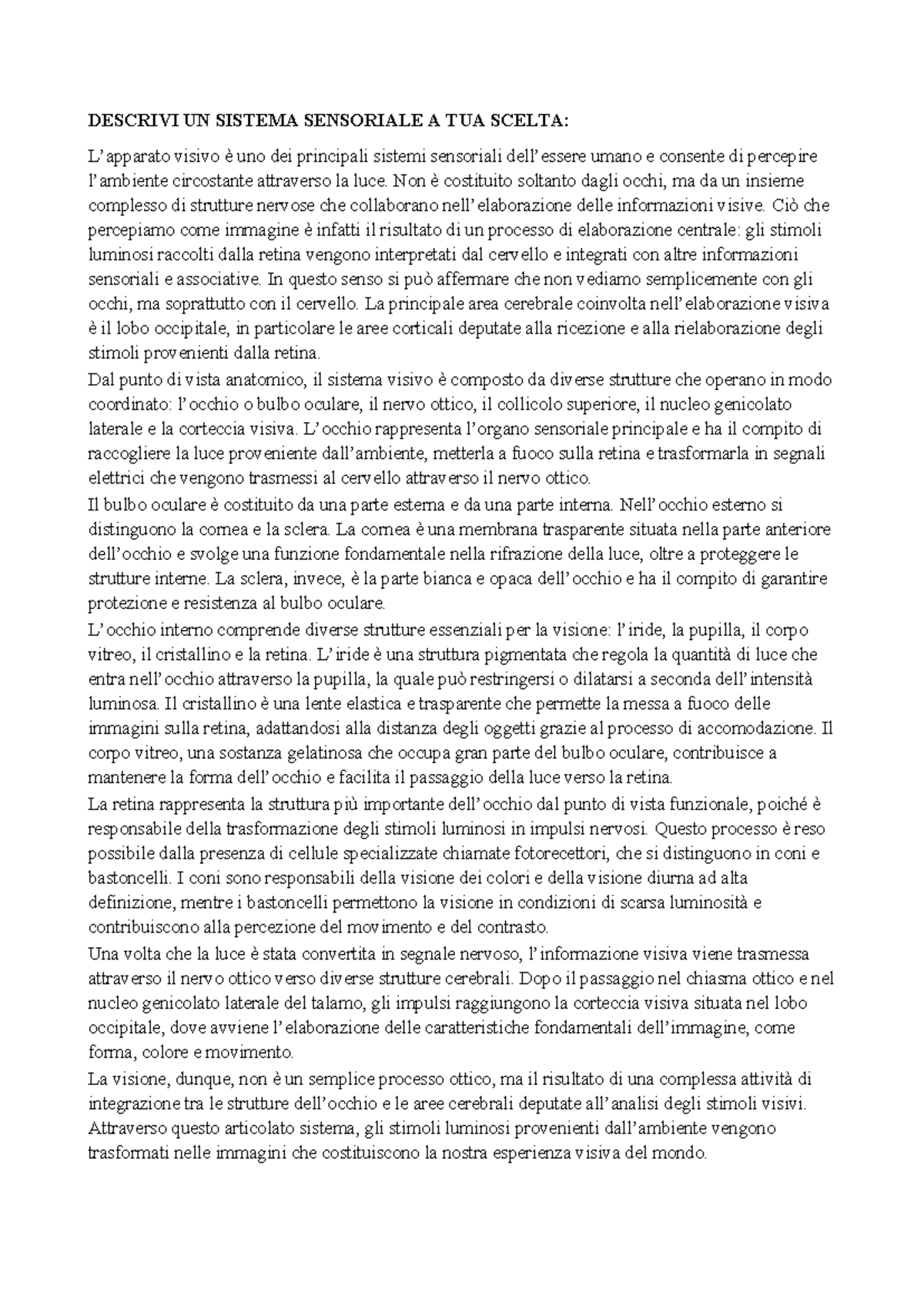 E-tivity 1: Analisi del Sistema Sensoriale Visivo - Studocu