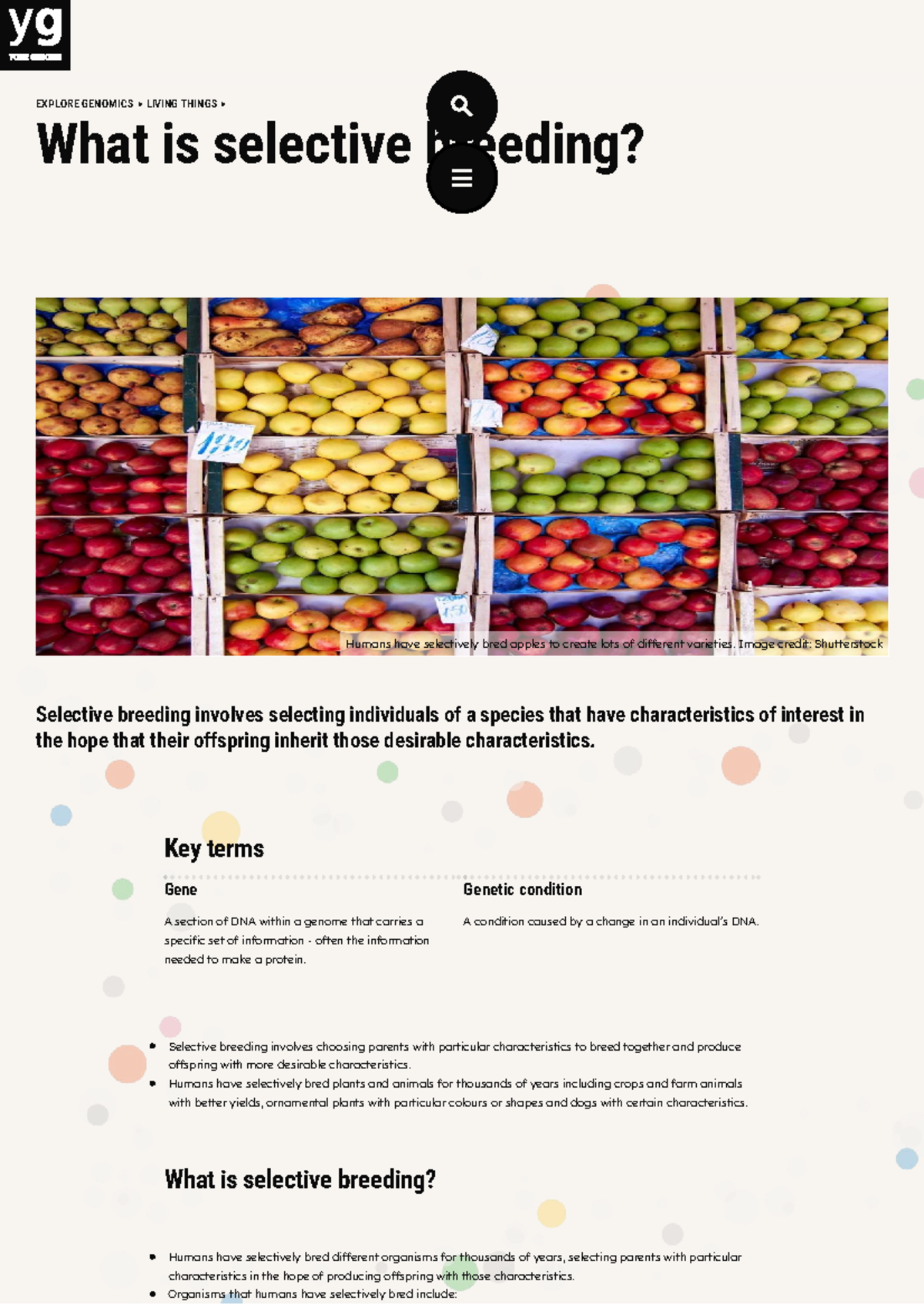 Selective Breeding Explained: Key Concepts and Examples - Studocu