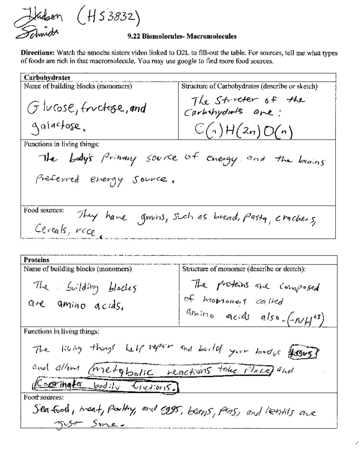 HS3832 Macromolecules Study Notes: Carbs & Proteins Overview - Studocu