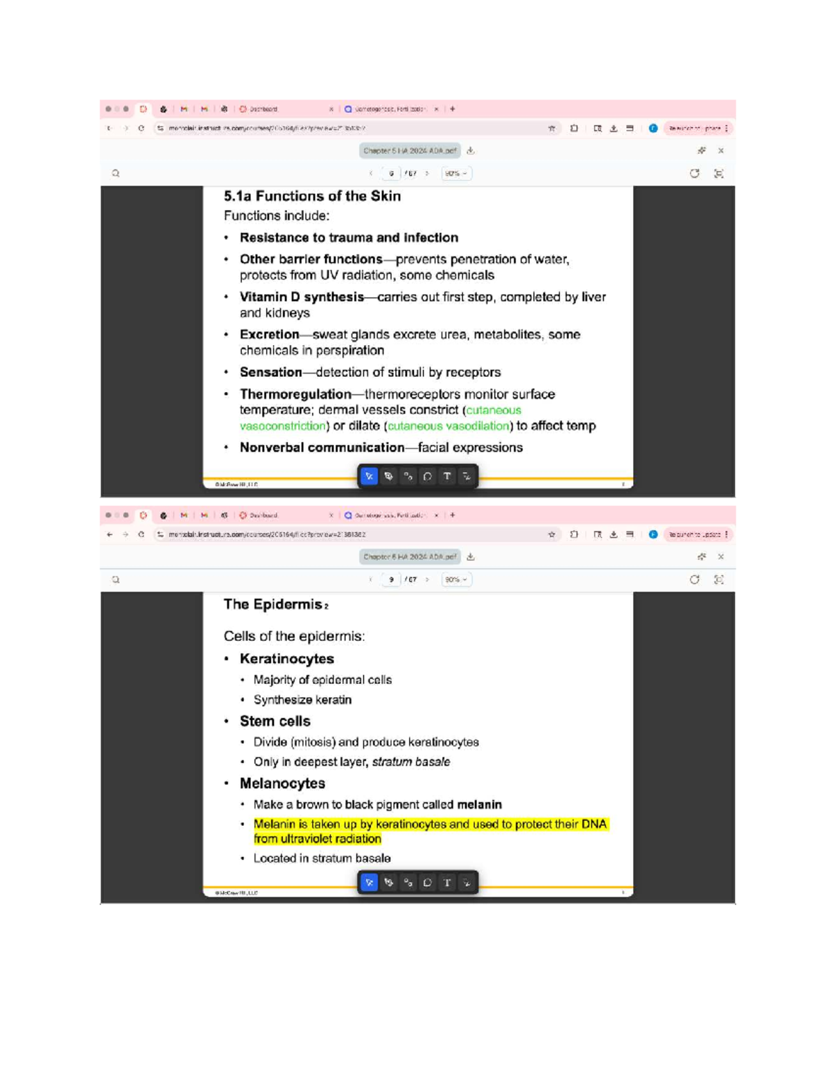 Integumentary System Review Notes: Chapter 5 HA 2024 ADA - Studocu