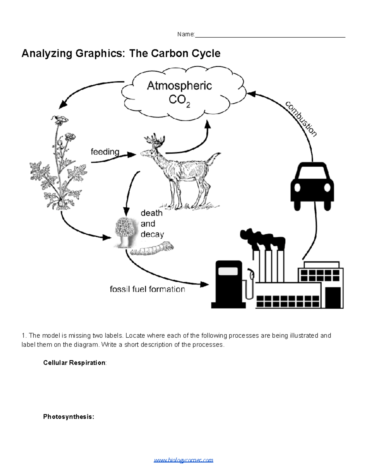 Analyzing Graphics of the Carbon Cycle: Missing Labels and Descriptions ...