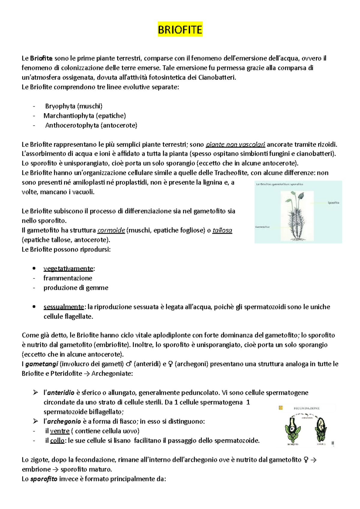 Ciclo Vitale Delle Briofite T R A C H E O F I T E Facoltà Di