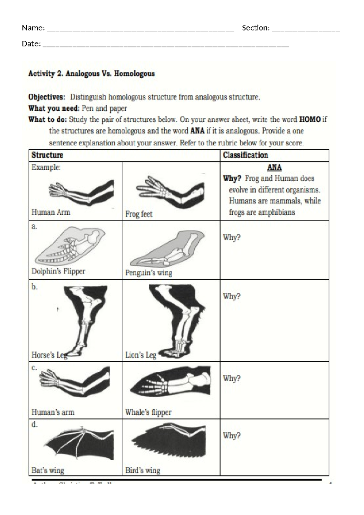 Homologous vs Analogous Structures Worksheet - Studocu