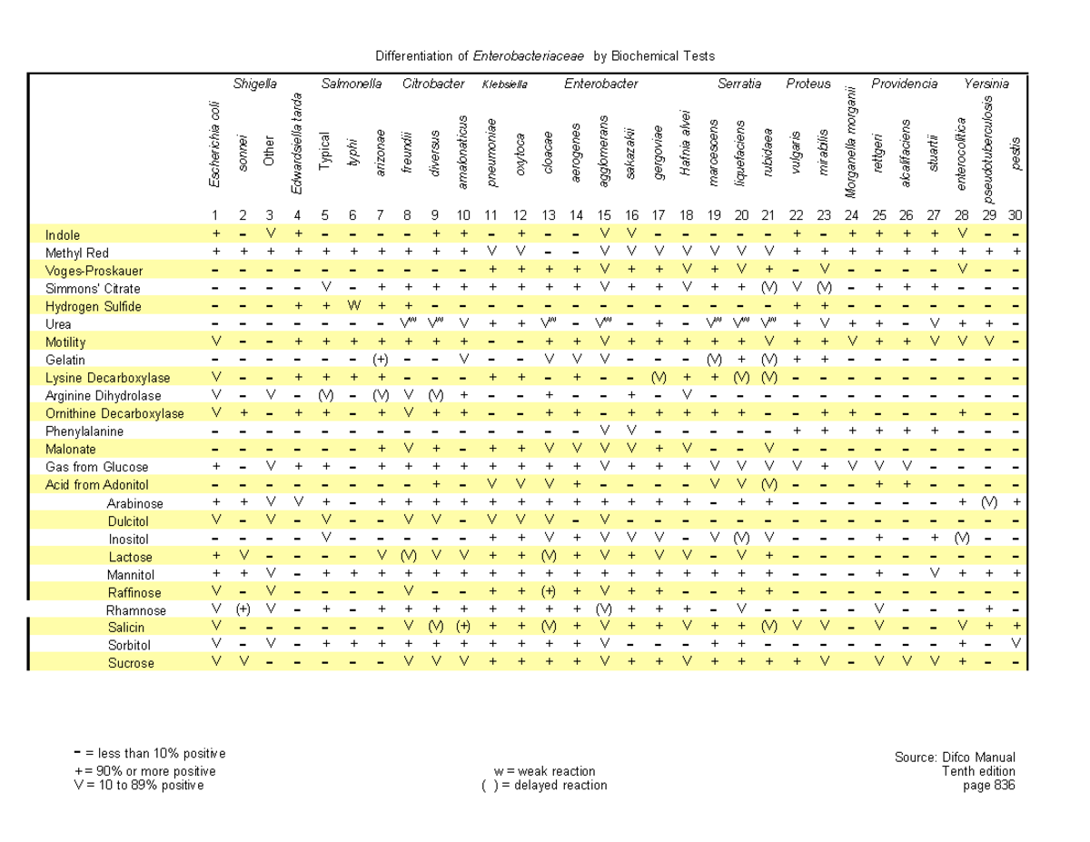 Identifying Enterobacteriaceae: Biochemical Test Chart for Lab - Studocu