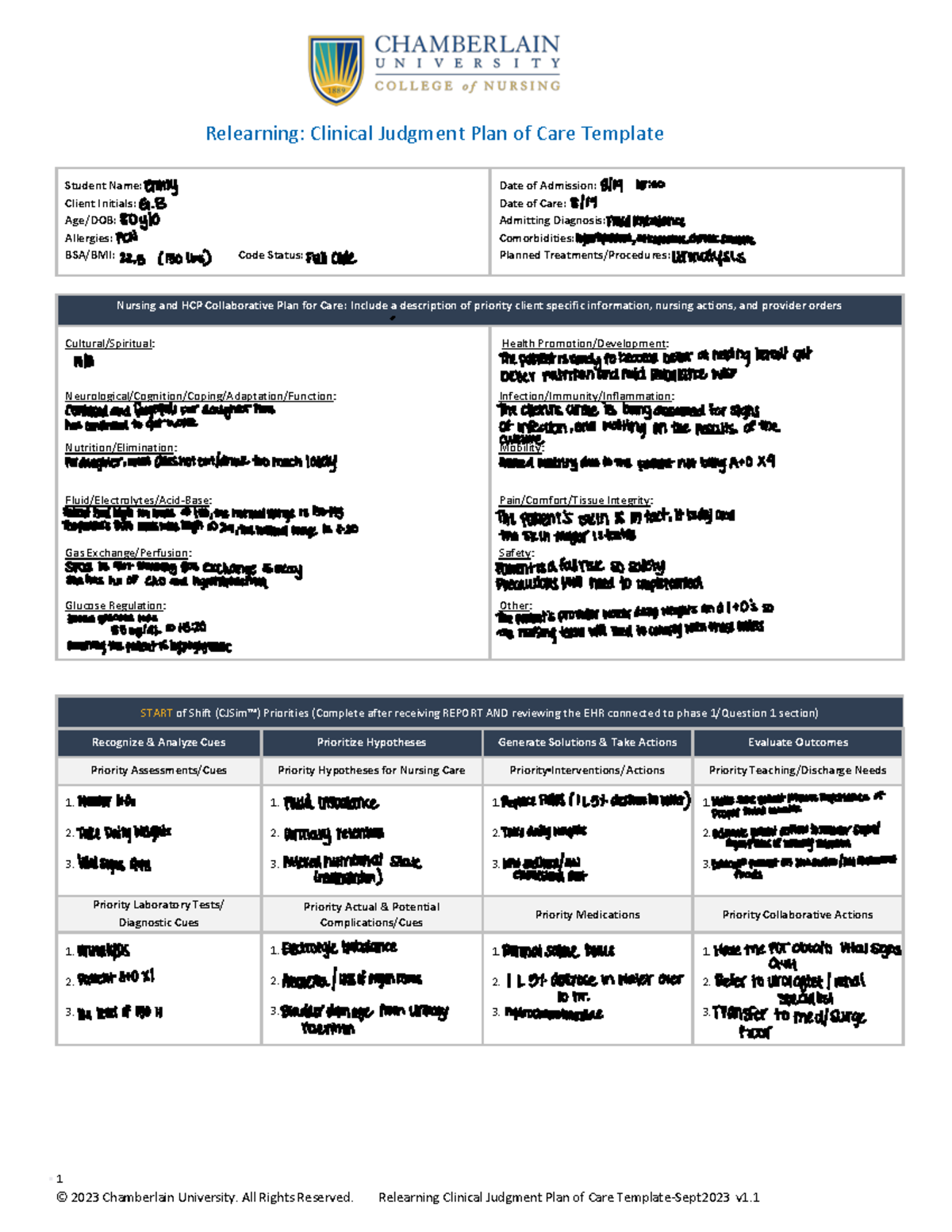 CJE Relearning Clinical Judgment Care Plan Template for Assignment - Studocu