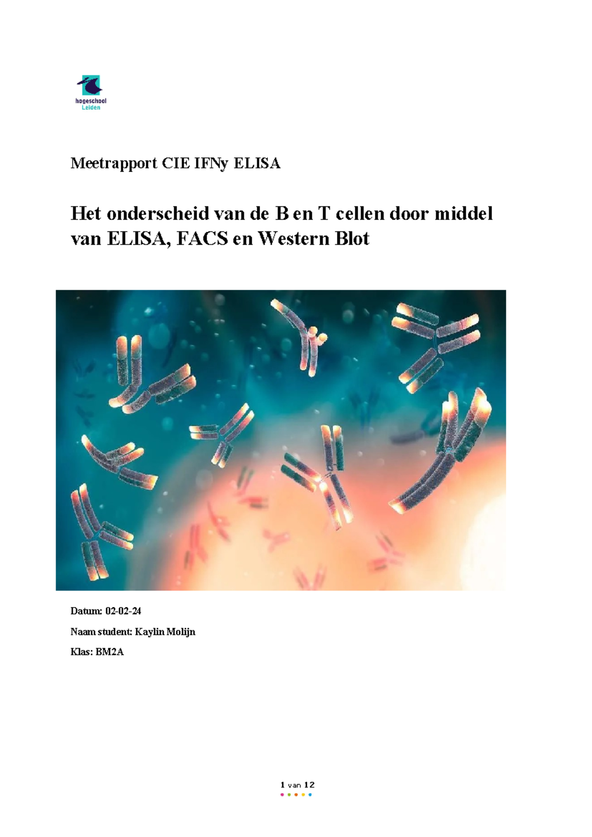 CIE IFNy ELISA Meetrapport en Analyse van B en T Cellen - Studeersnel