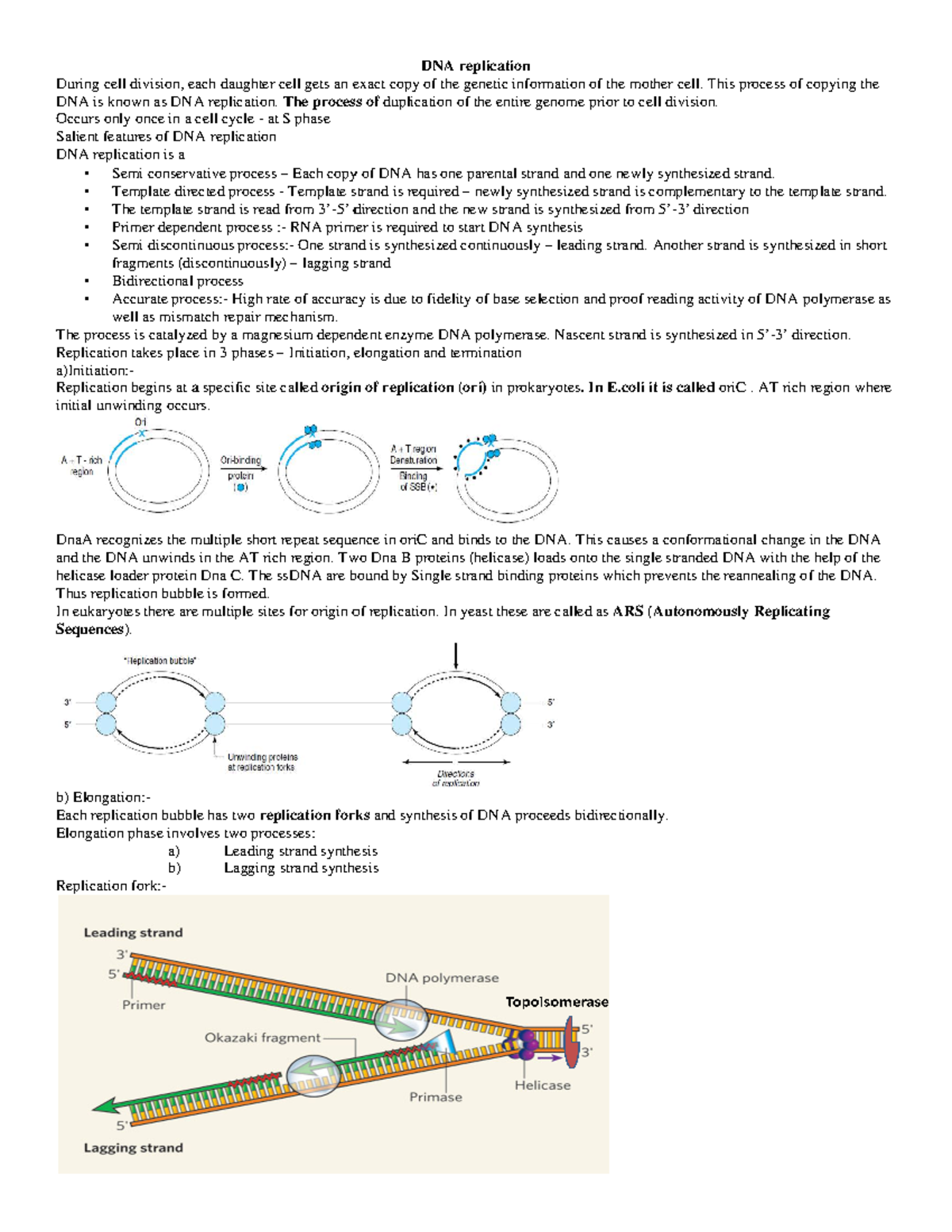 DNA Replication Overview - SHHS - Studocu