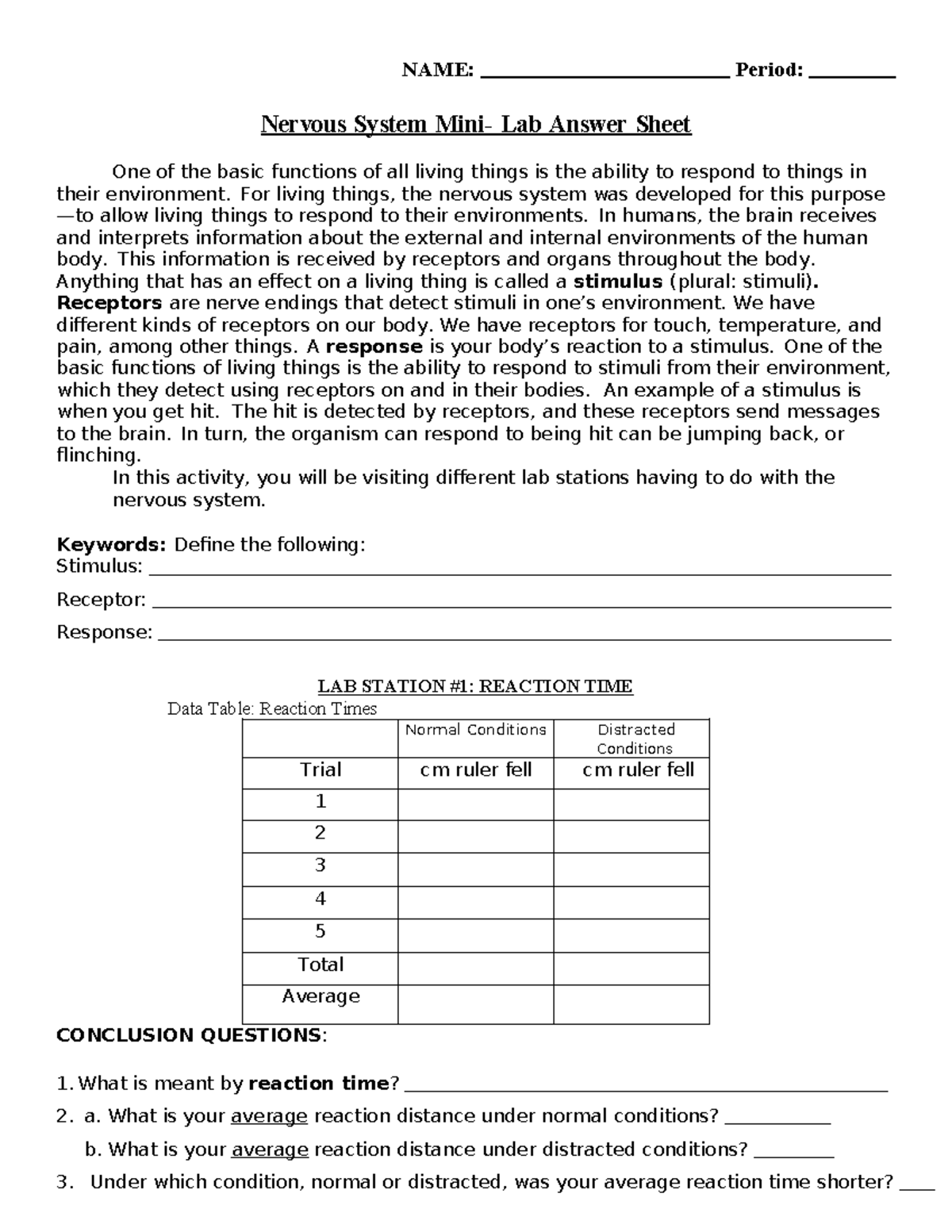 3 NS Stations Lab Worksheet - Nervous System Exploration - Studocu