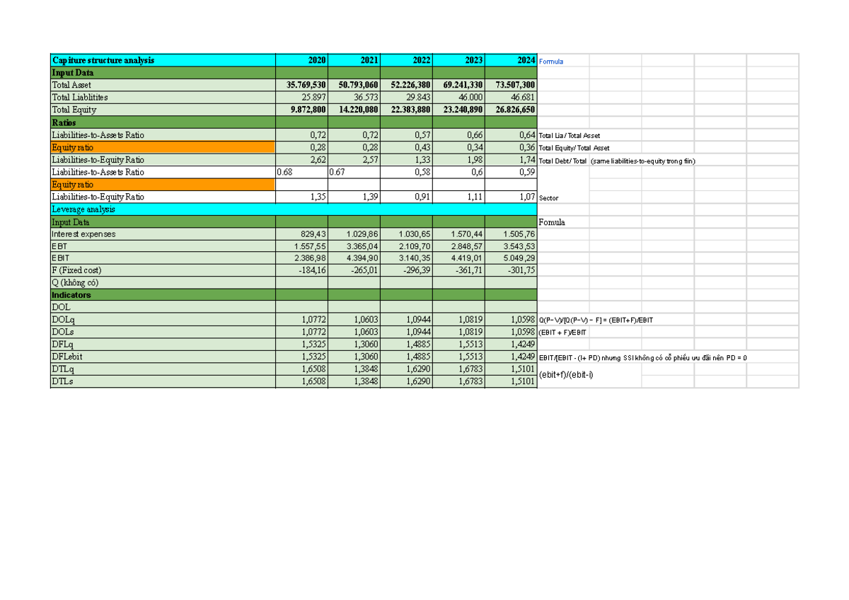 [FA] Group 6 - Financial Analysis: Capital Structure & Ratios - Studocu