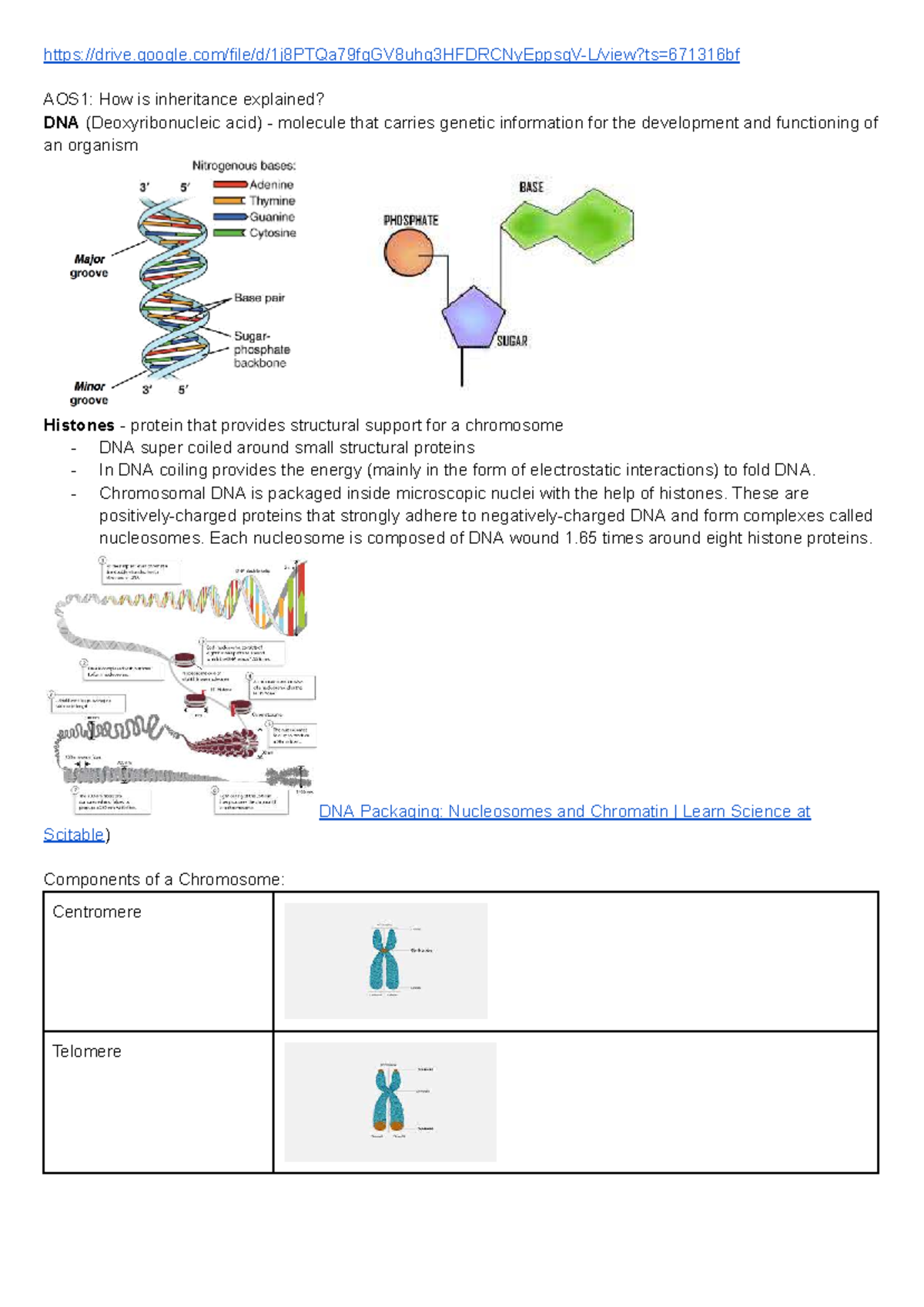 Biology Unit 2 Exam Notes: Inheritance, Chromosomes, and Genetic ...