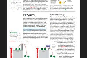 General Biology Final Exam Study Guide - GENERAL BIOLOGY I / REVIEW ...