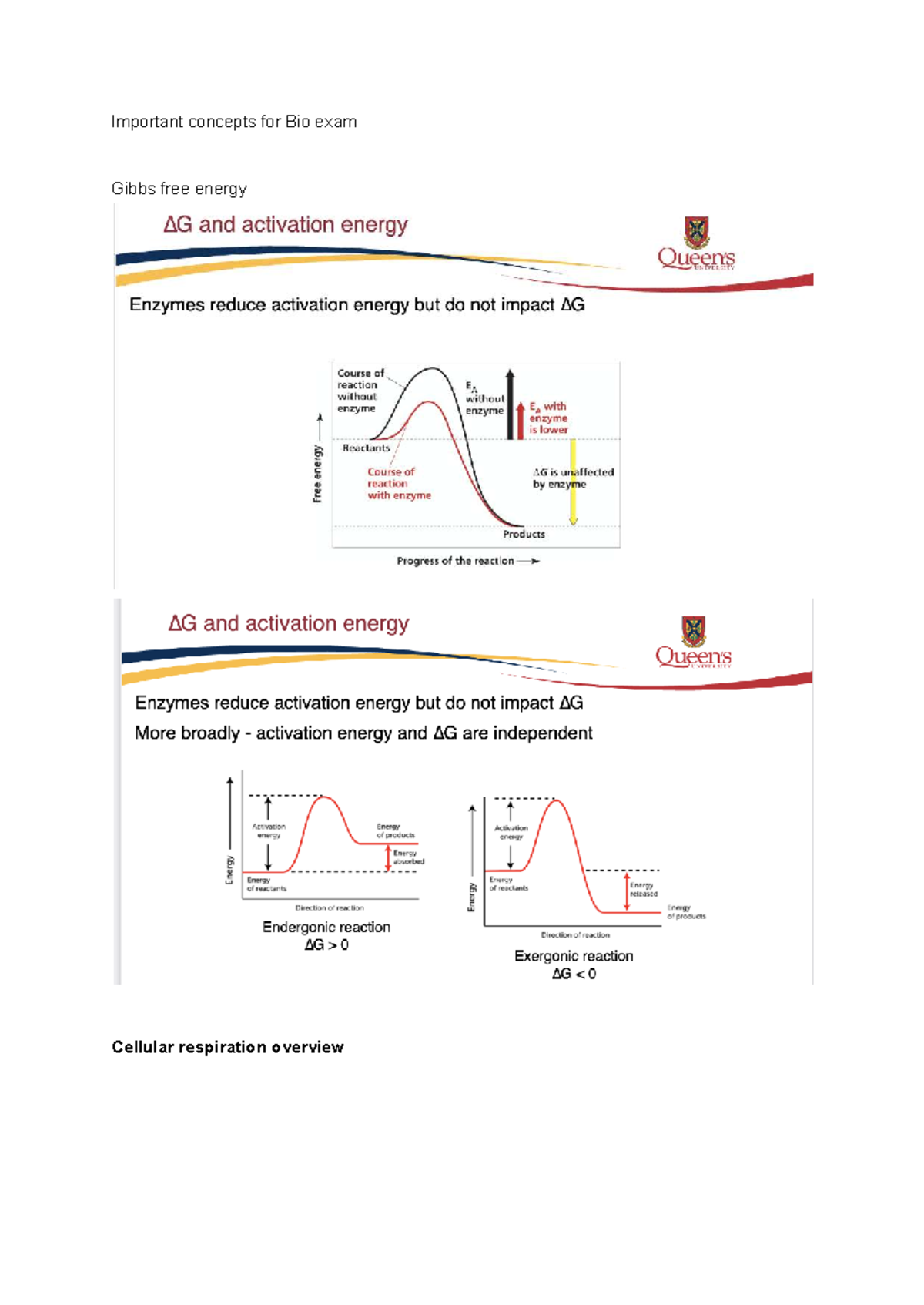Bio 101: Key Concepts for Final Exam Review - Studocu