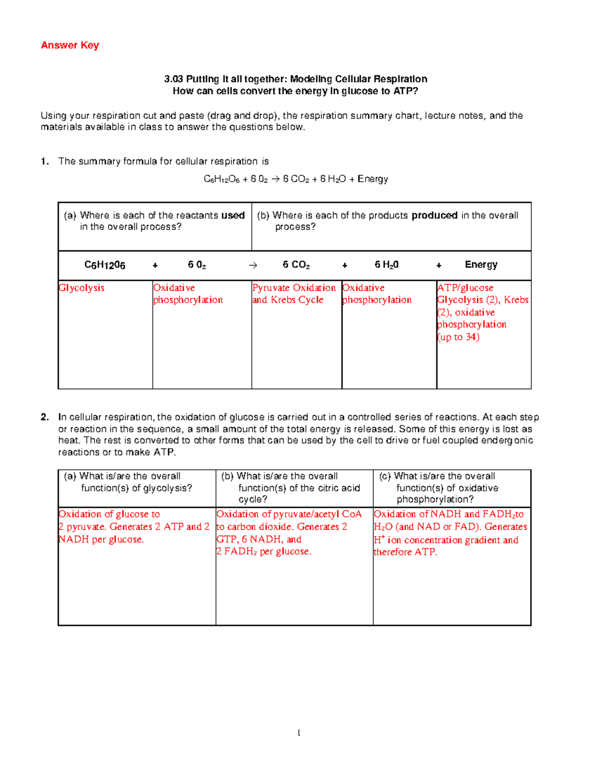 Activity Modeling Cell Respiration KEY - 1 Answer Key 3 Putting it all together: Modeling ...