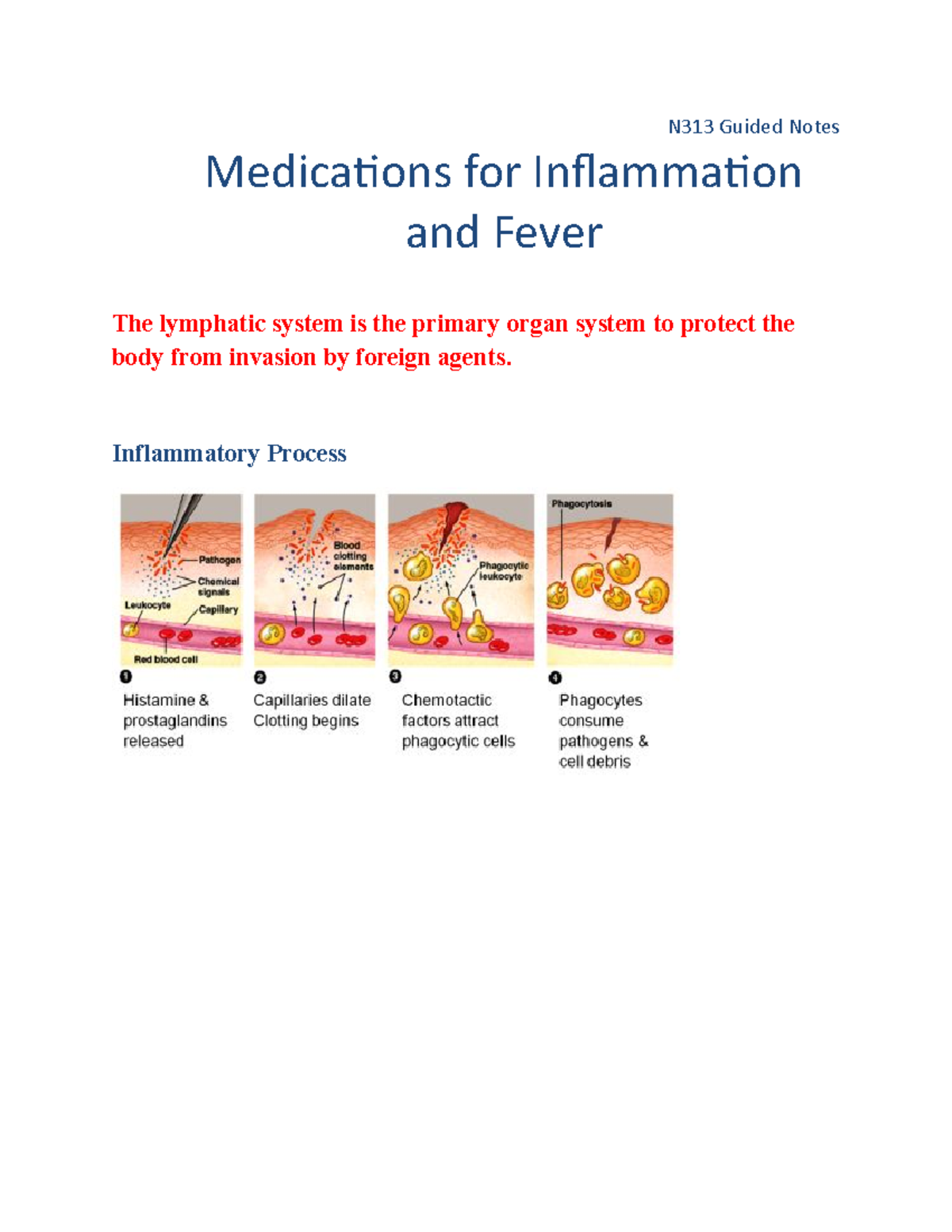 Inflammation and Fever Guided Notes - N313 Guided Notes Medications for ...