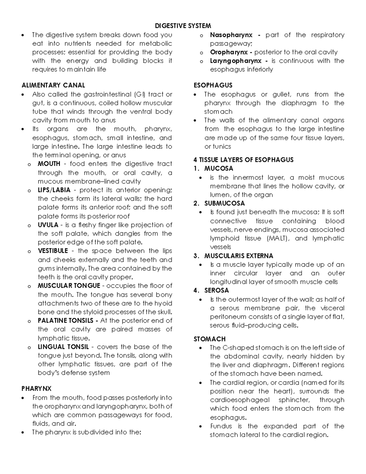 Digestive- System- Reviewer - DIGESTIVE SYSTEM The digestive system ...