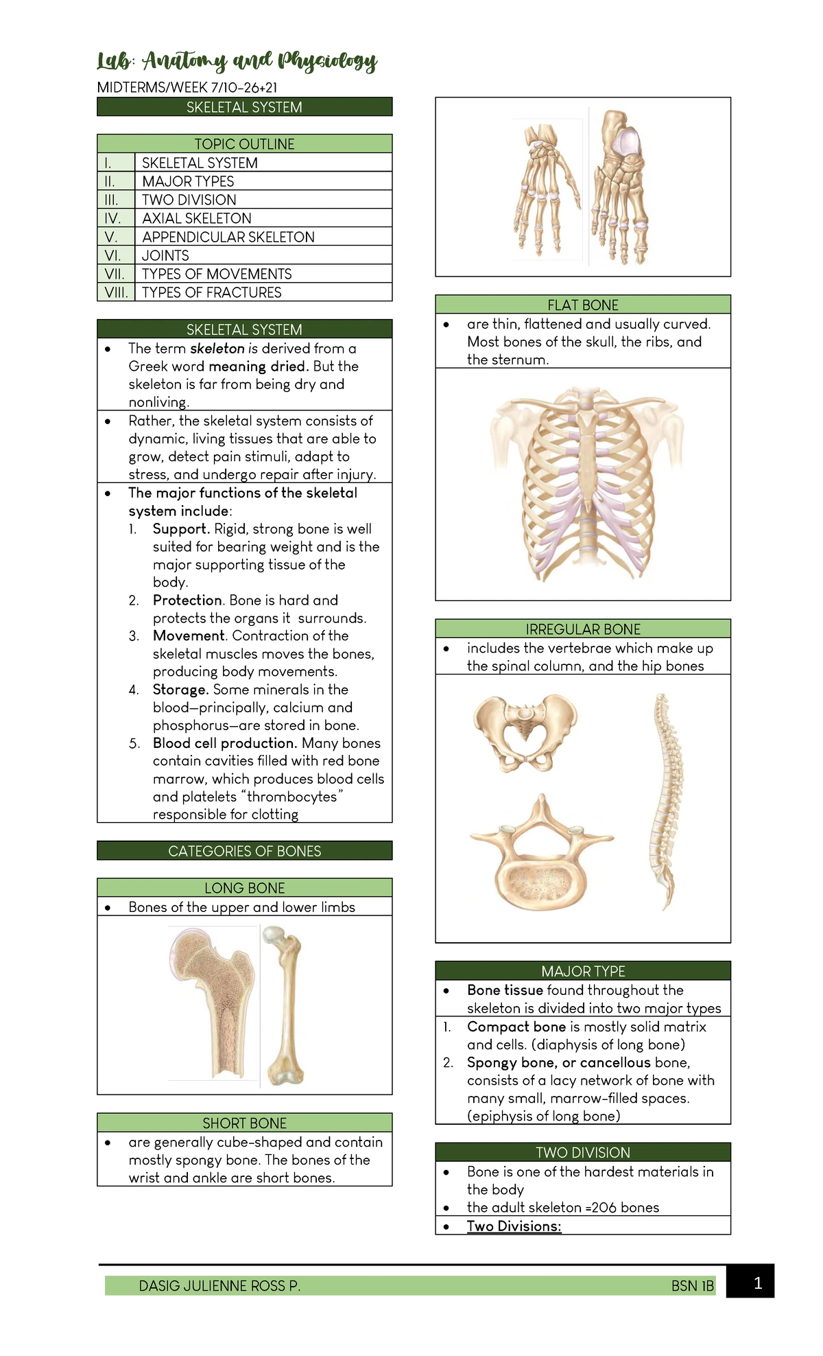 BSPSY 1-YB-1 | SEMESTER 2: Intro to Human Anatomy & Physiology Overview ...