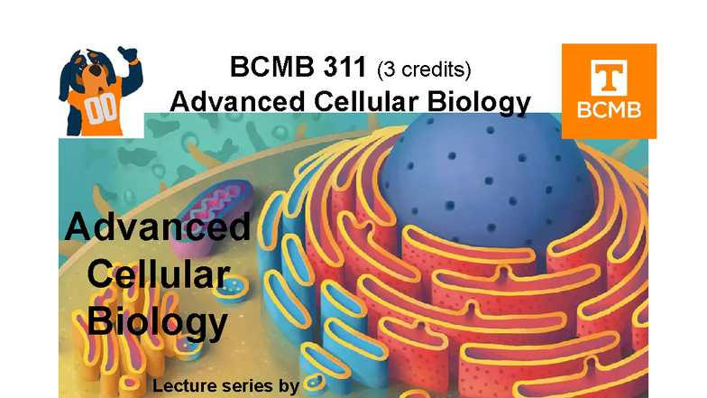 BCMB 311 Advanced Cellular Biology Lecture: Cell Cycle Overview Quiz ...