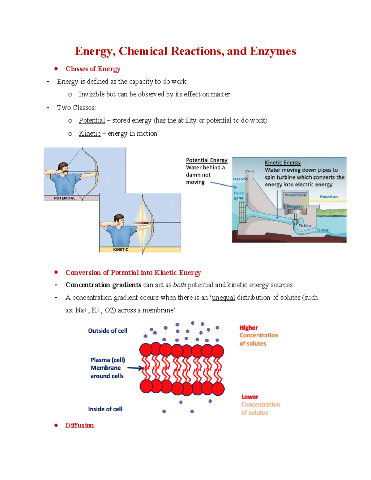 Energy, Chemical Reactions, and Enzymes: A Comprehensive Overview - Studocu