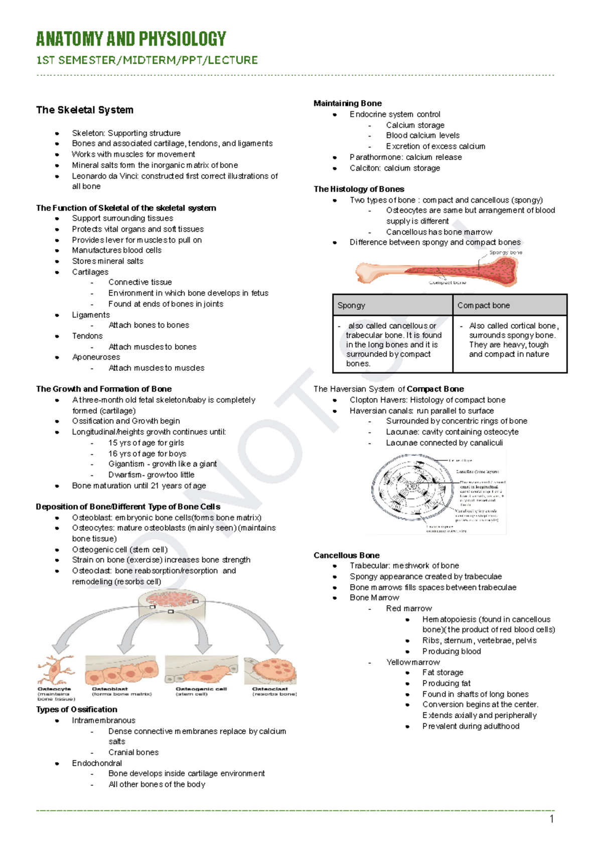 Anaph- Midterm- Reviewer-Google-Docs - DO NOT SELL 1ST SEMESTER/MIDTERM ...