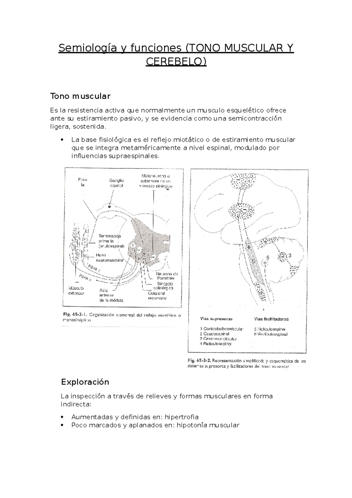 Semiología y Funciones del Tono Muscular en el Cerebelo - Curso TONO ...