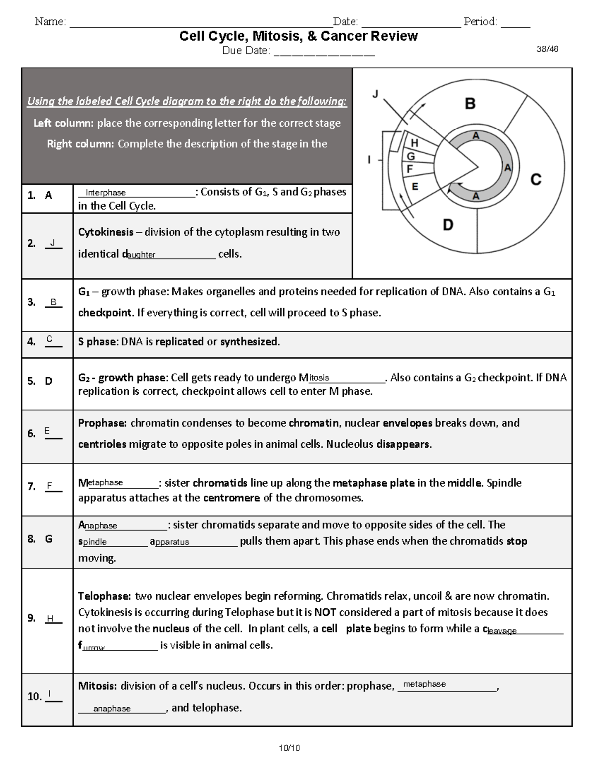 Cell Cycle, Mitosis & Cancer Review (Bio 101) - Studocu