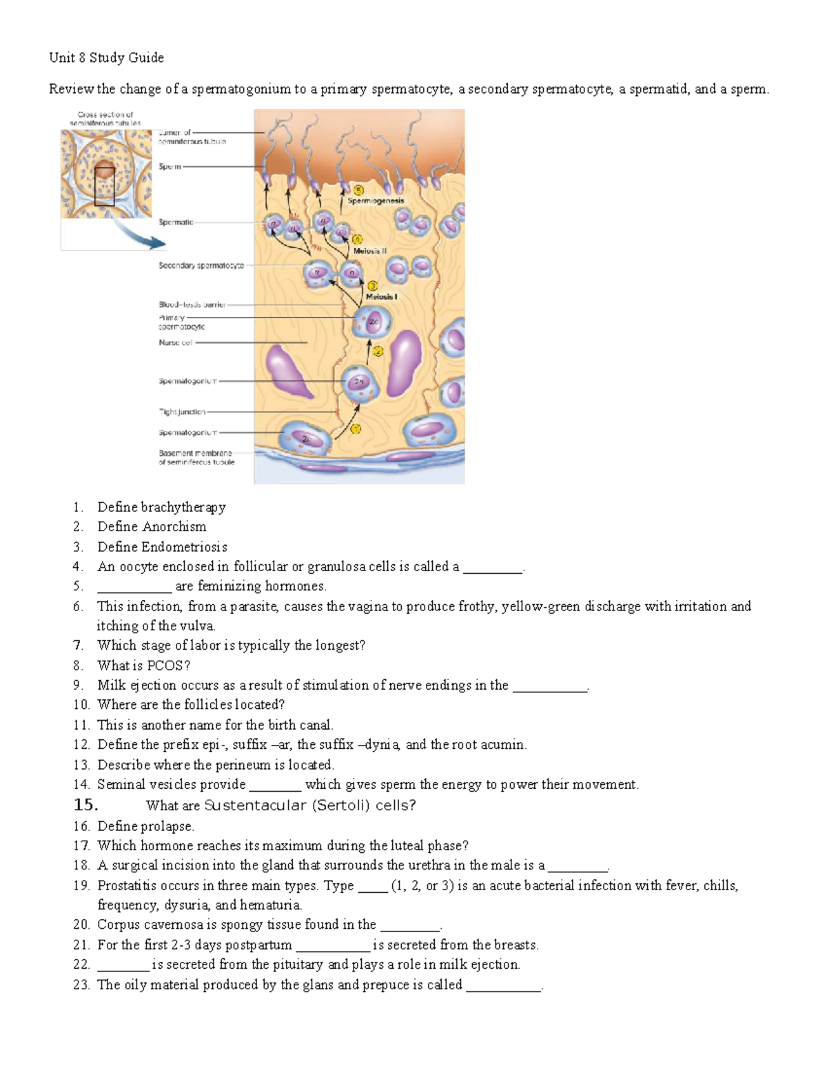 Unit 8 Study Guide: Key Concepts in Human Reproductive Health - Studocu