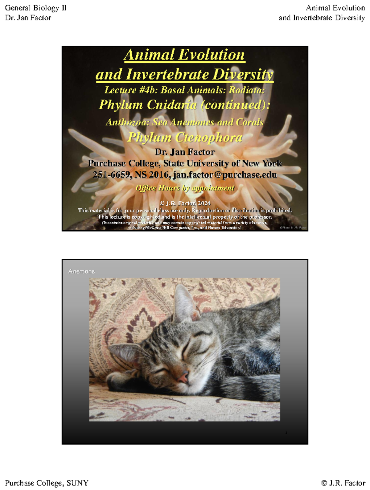 General Biology II: Animal Evolution & Invertebrate Diversity Lecture ...